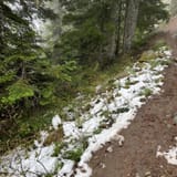 Ira Spring Memorial Trail, Washington - 2,086 Reviews, Map | AllTrails