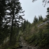 Ira Spring Memorial Trail, Washington - 2,126 Reviews, Map | AllTrails