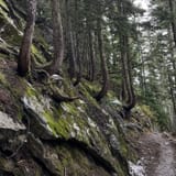 Ira Spring Memorial Trail, Washington - 2,086 Reviews, Map | AllTrails