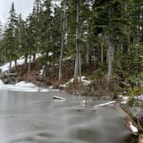 Ira Spring Memorial Trail, Washington - 2,104 Reviews, Map | AllTrails