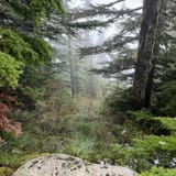 Ira Spring Memorial Trail, Washington - 2,126 Reviews, Map | AllTrails