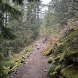 Ira Spring Memorial Trail, Washington - 2,104 Reviews, Map | AllTrails