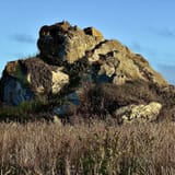 Ka Kahleh Trail, California - 712 Reviews, Map | AllTrails