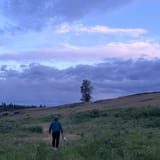 Hog Lake Loop, Washington - 264 Reviews, Map | AllTrails