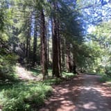 Stream, East Ridge, and Canyon Loop, California - 1,836 Reviews, Map ...