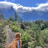 Heybrook Ridge via Leovy Trail, Washington - 1,681 Reviews, Map | AllTrails
