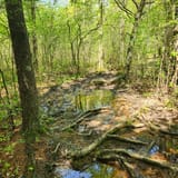 Long Path Trail, New York - 189 Reviews, Map | AllTrails