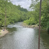 Cascade Falls Loop Trail, Maryland - 2,799 Reviews, Map | AllTrails