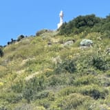 Bayside Trail, California - 1,748 Reviews, Map | AllTrails