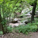 Cascade Falls Loop Trail, Maryland - 2,788 Reviews, Map | AllTrails