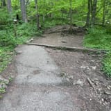 Cascade Falls Loop Trail, Maryland - 2,788 Reviews, Map | AllTrails