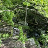 Lewis Spring Falls Trail, Virginia - 1,521 Reviews, Map | AllTrails