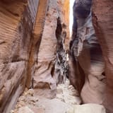 Wire Pass Trail, Utah - 3,026 Reviews, Map | AllTrails
