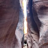 Wire Pass Trail, Utah - 3,026 Reviews, Map | AllTrails
