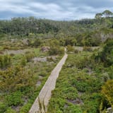 Arm River Track to New Pelion Hut, Tasmania, Australia - 68 Reviews ...