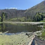 Red Lake Trail, Utah - 294 Reviews, Map | AllTrails