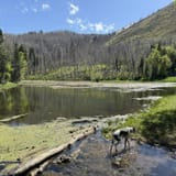 Red Lake Trail, Utah - 294 Reviews, Map | AllTrails
