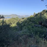 Tuolumne Table Mountain, California - 1,228 Reviews, Map | AllTrails