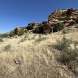 Palisade Rim Trail, Colorado - 1,576 Reviews, Map | AllTrails