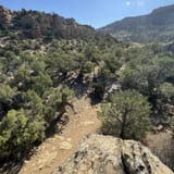 Palisade Rim Trail, Colorado - 1,576 Reviews, Map | AllTrails