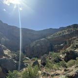 Palisade Rim Trail, Colorado - 1,576 Reviews, Map | AllTrails