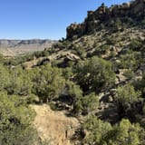 Palisade Rim Trail, Colorado - 1,576 Reviews, Map | AllTrails