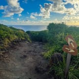 ʻŌhai Trail Loop, Maui, Hawaii - 844 Reviews, Map | AllTrails