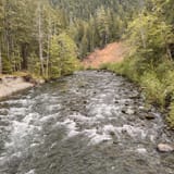 Staircase Rapids Loop, Washington - 2,572 Reviews, Map | AllTrails