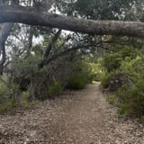 Lake Miramar Trail, California - 4,144 Reviews, Map | AllTrails