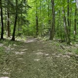 Lye Brook Falls Trail, Vermont - 2,987 Reviews, Map | AllTrails