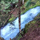 Cora Lake Trail, Washington - 281 Reviews, Map | AllTrails