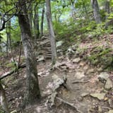 Dragon's Tooth Trail, Virginia - 3,479 Reviews, Map | AllTrails