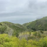 Corral Canyon Loop, California - 1,840 Reviews, Map | AllTrails