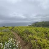 Corral Canyon Loop, California - 1,840 Reviews, Map | AllTrails
