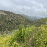 Corral Canyon Loop, California - 1,840 Reviews, Map | AllTrails