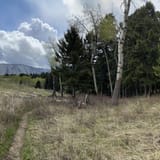 Beaver Ponds Loop Trail, Montana - 1,216 Reviews, Map | AllTrails