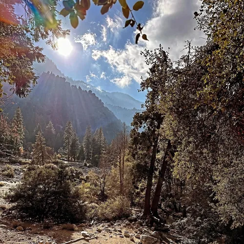 Best Waterfall Trails in Forest Falls | AllTrails