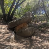 Dave Moore Nature Trail, California - 391 Reviews, Map | AllTrails