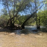 Dave Moore Nature Trail, California - 391 Reviews, Map | AllTrails