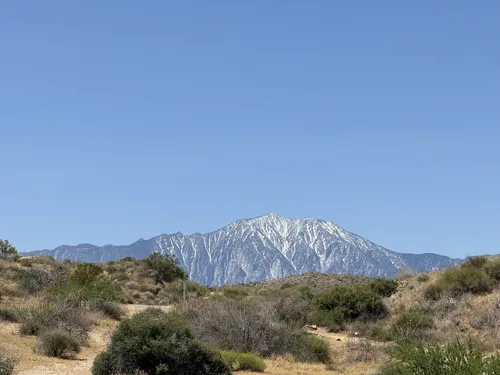 Best Hikes and Trails in Morongo Valley | AllTrails