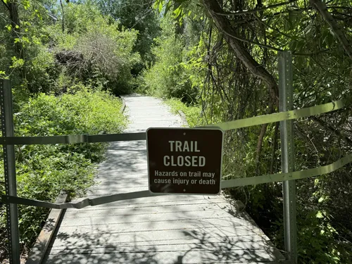 Best Walking Trails in Morongo Valley | AllTrails