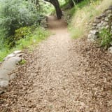 Lower Arroyo Seco Trail, California - 1,561 Reviews, Map | AllTrails