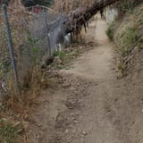 Lower Arroyo Seco Trail, California - 1,561 Reviews, Map | AllTrails