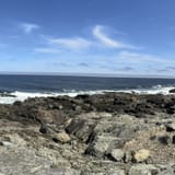 Marginal Way, Maine - 1,659 Reviews, Map | AllTrails