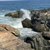 Marginal Way, Maine - 1,659 Reviews, Map | AllTrails