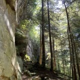Whispering Cave - Cedar Falls Loop, Ohio - 854 Reviews, Map | AllTrails