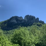Seneca Rocks Trail, West Virginia - 2,910 Reviews, Map | AllTrails