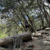 Angel Falls via Willow Creek Trail, California - 2,227 Reviews, Map ...