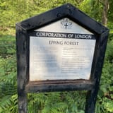 Epping Forest Main Path and Green Ride Circular, Essex, England - 1,242 ...