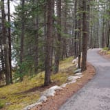 Lake Annette Loop, Alberta, Canada - 922 Reviews, Map | AllTrails